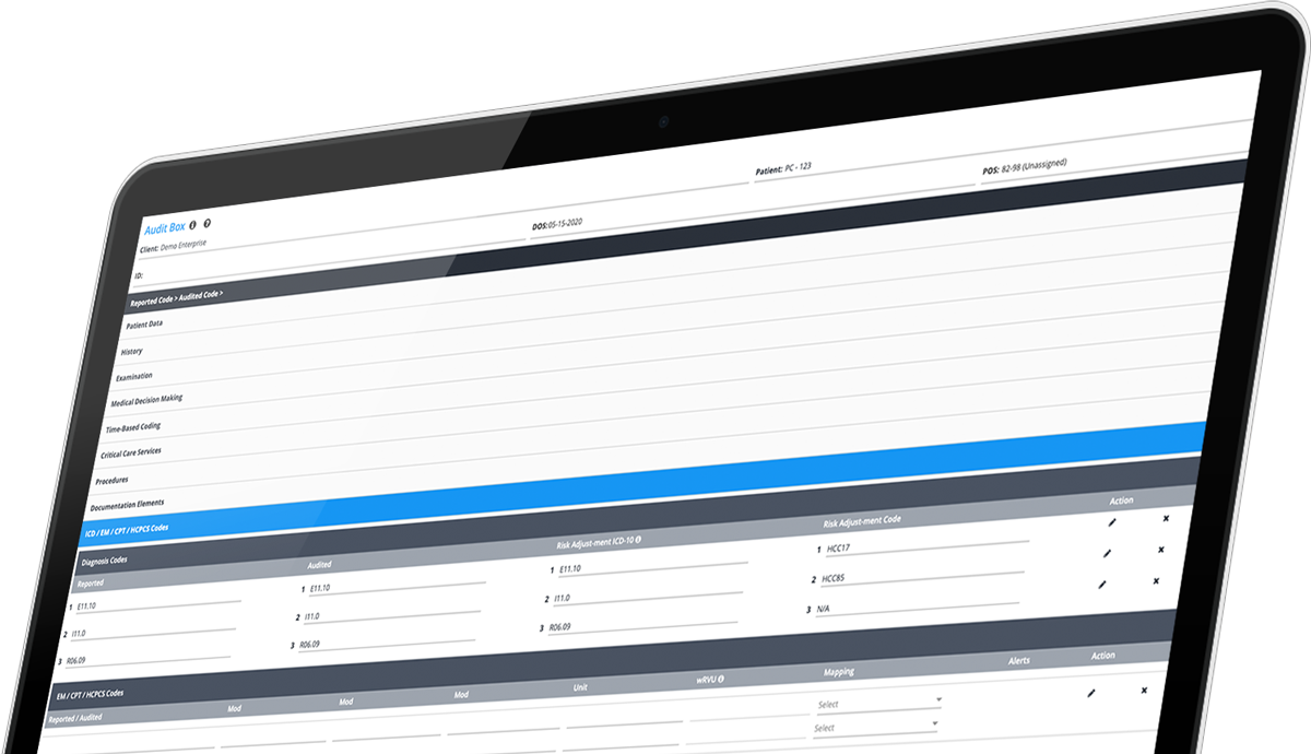 Medical Auditing Software | Healthicity