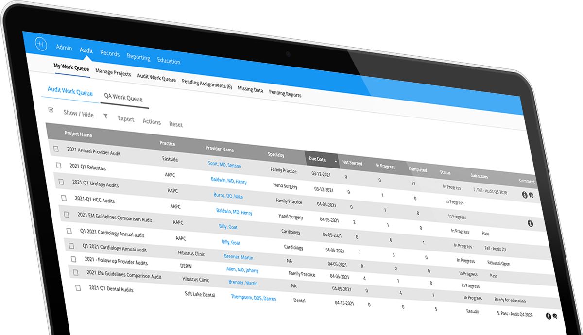 Medical Auditing Software | Healthicity